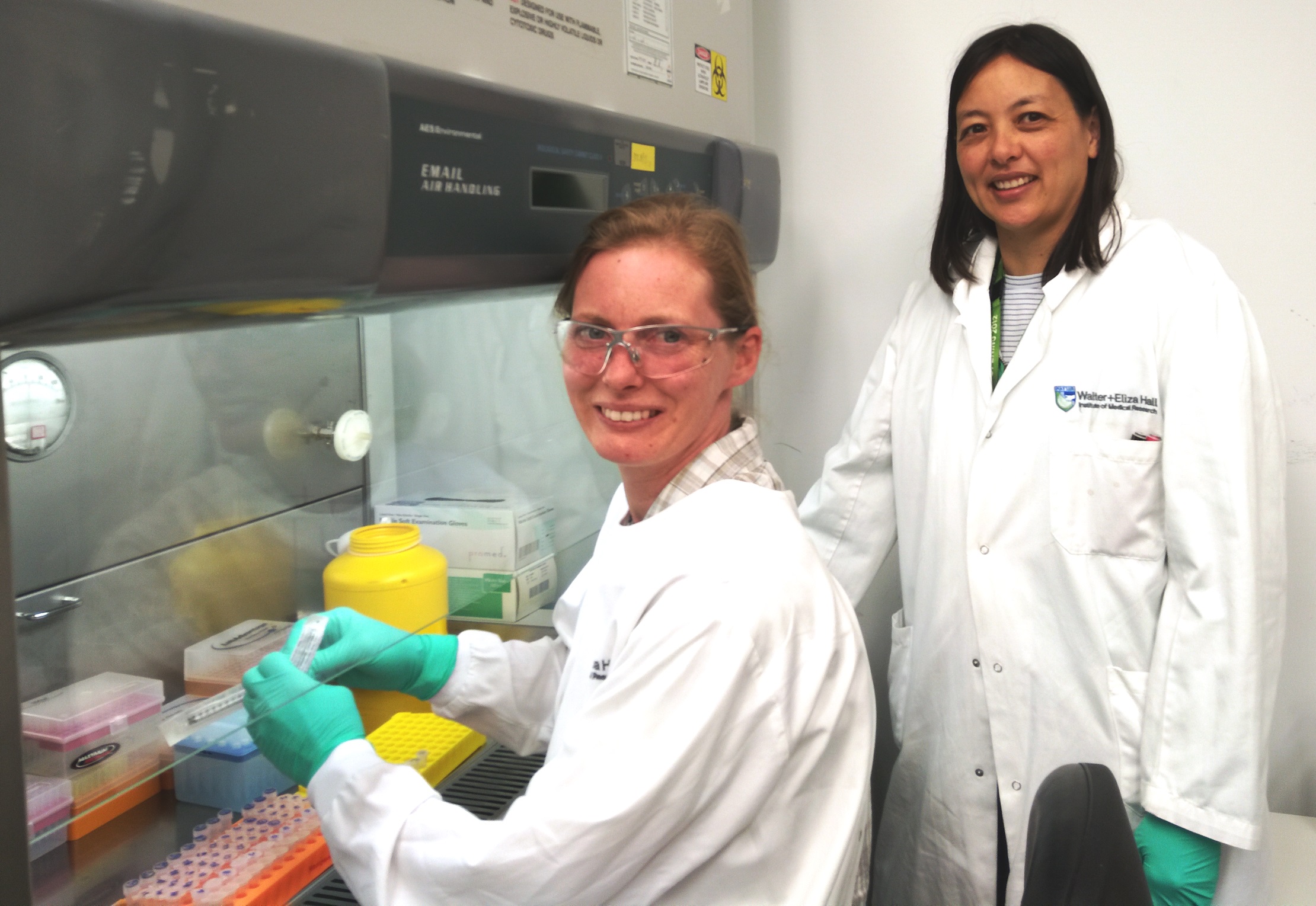 ENDIA and the microbiome - ENDIA Study - ENvironmental Determinants of ...
