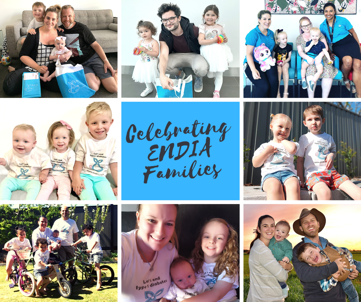 ENDIA's meeting goes virtual - ENDIA Study - environmental determinants ...