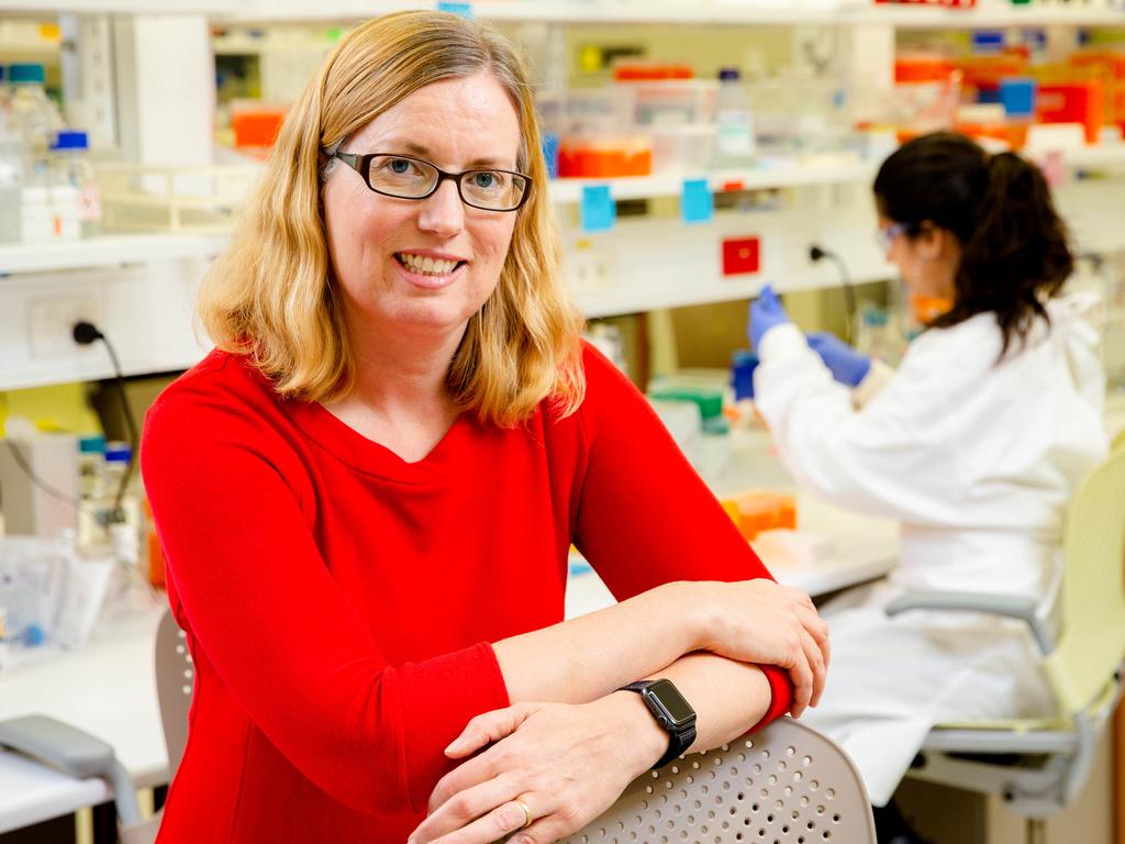 EEHW - ENDIA Study - ENvironmental Determinants of Islet Autoimmunity